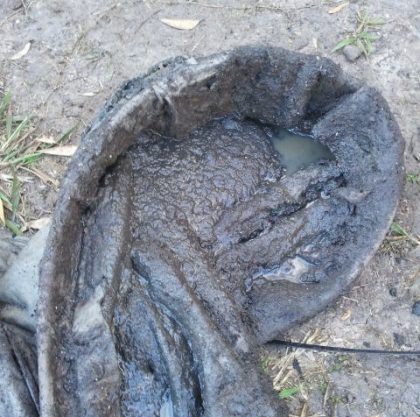 Replacement of Failed Biolytix with Home Sewage Treatment Plant