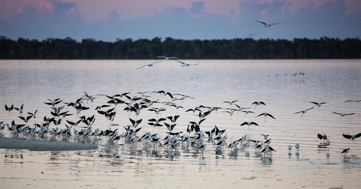 Toorbul Caravan Park STP Upgrade | True Water Australia