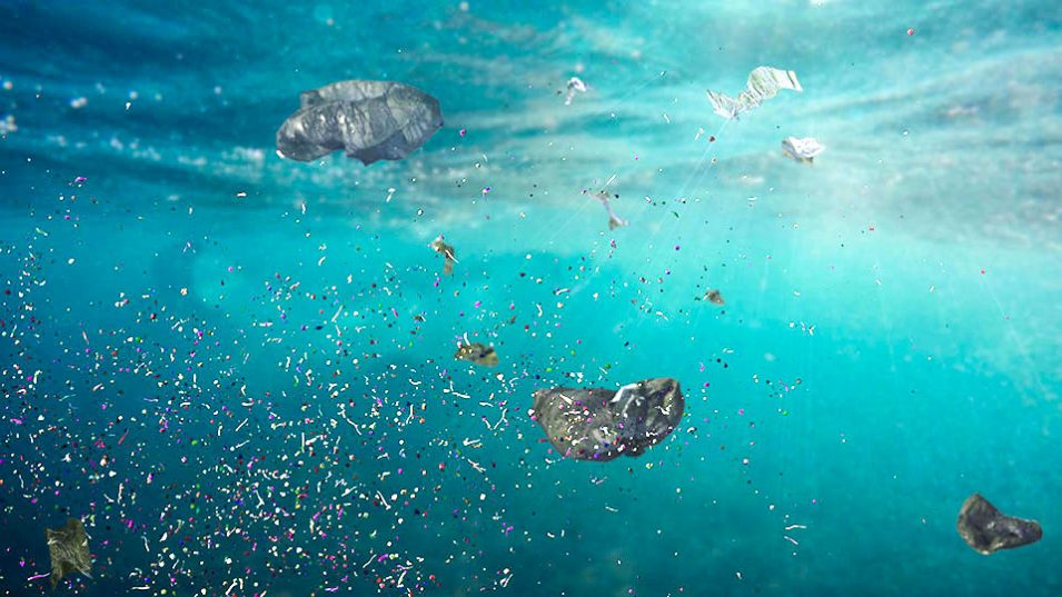 Microplastics in sewage